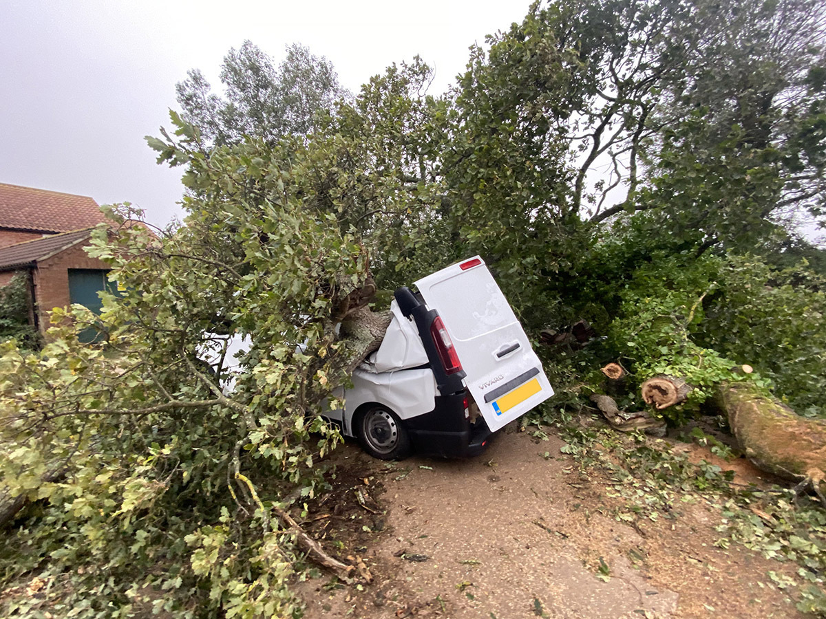 Emergency Tree Removal Services in Norfolk | Dr Stump