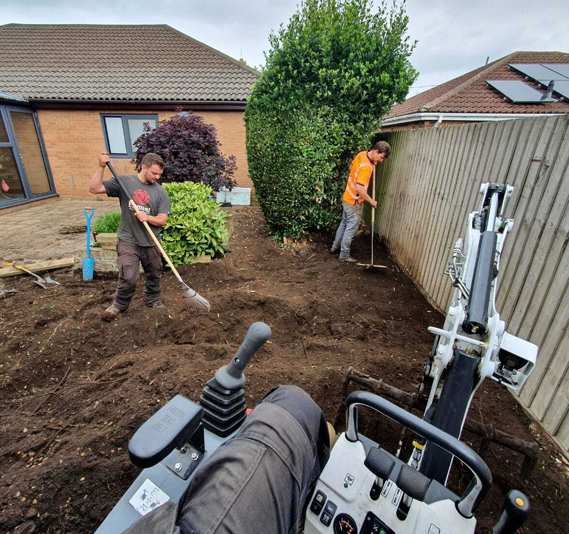 Professional Bamboo Removal in Norwich | Dr Stump